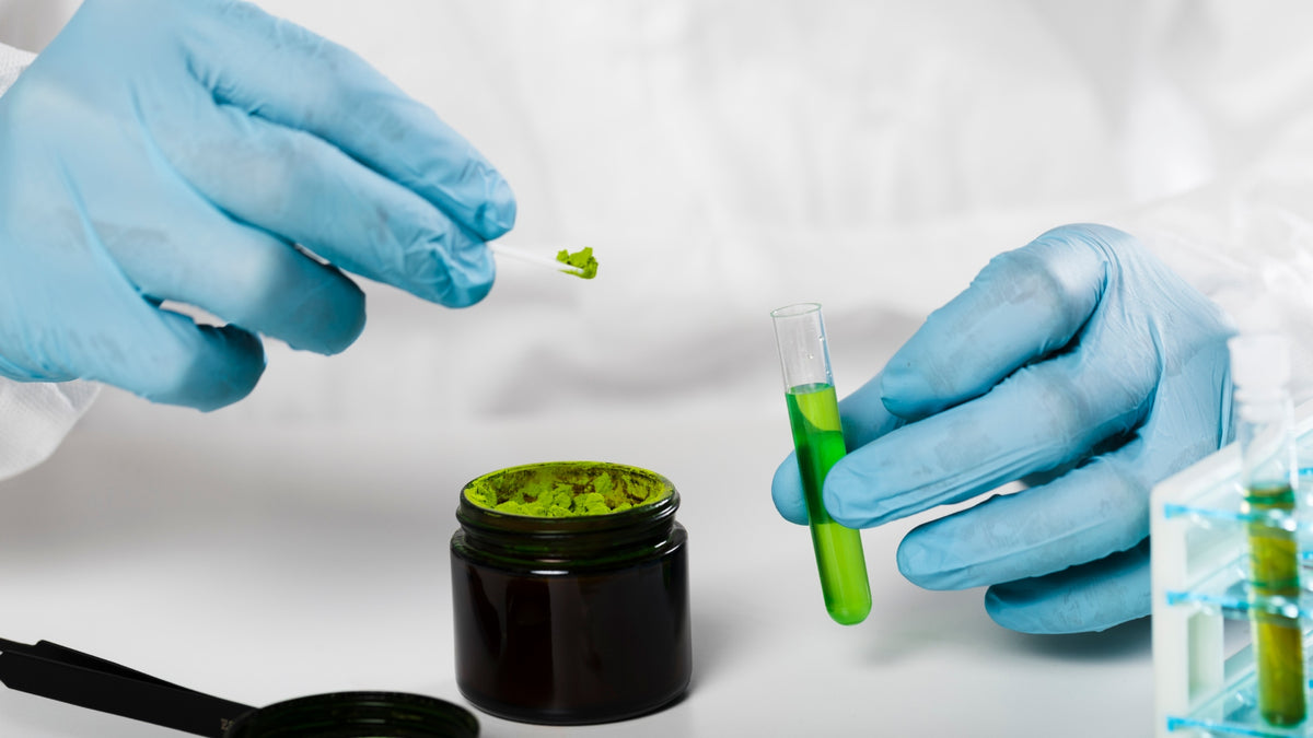 HHC-O vs THC: A Comprehensive Guide – Hempire Gardens