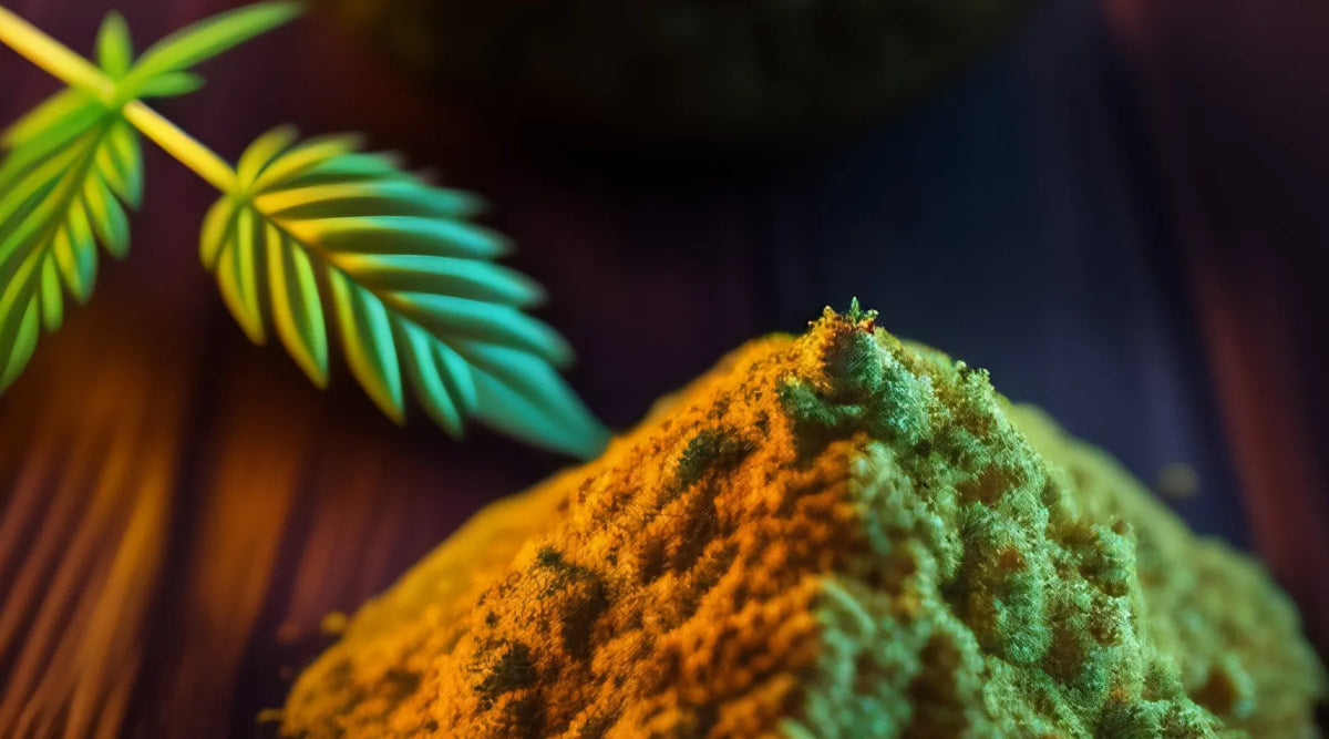 Exploring the HHC Shake: Is it the Next Big Thing in CBD? – Hempire Gardens