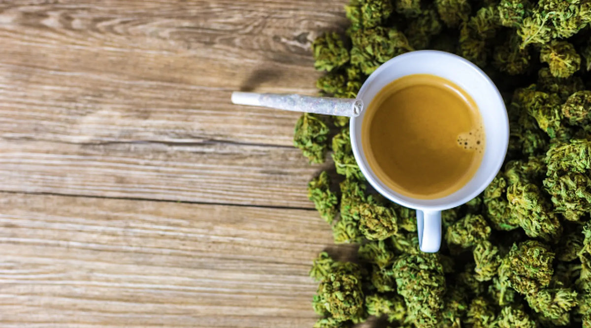 Shake Your Way to Wellness: HHC Shake for a Healthier Life ...