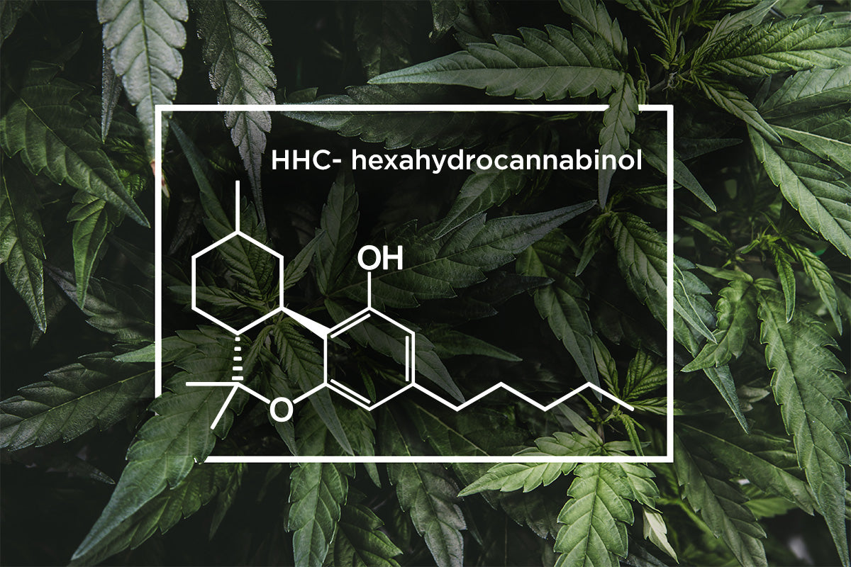 HHC and Pain Management: A Promising New Treatment Option – HempireGardens