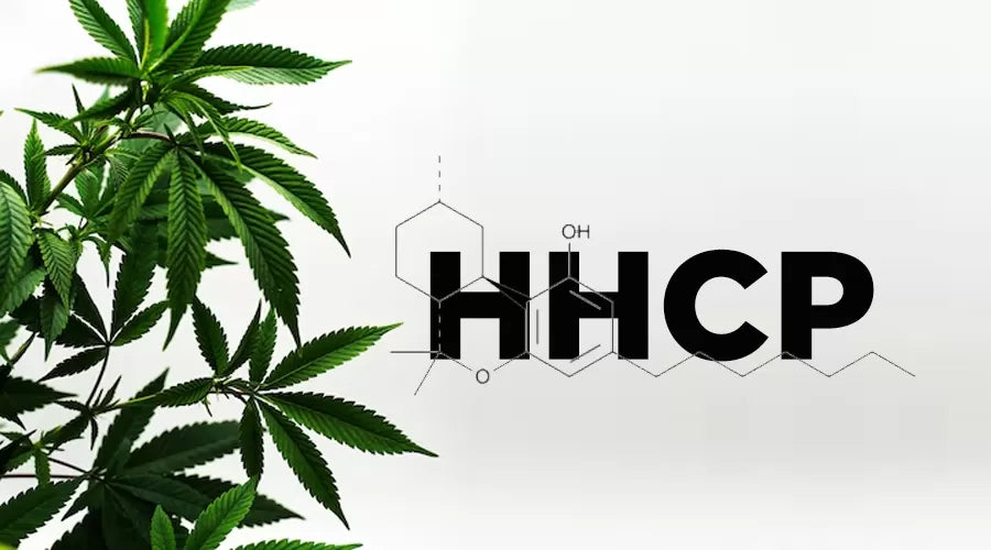 HHC-P: A Closer Look at the Benefits and Effects of this Novel Cannabi ...