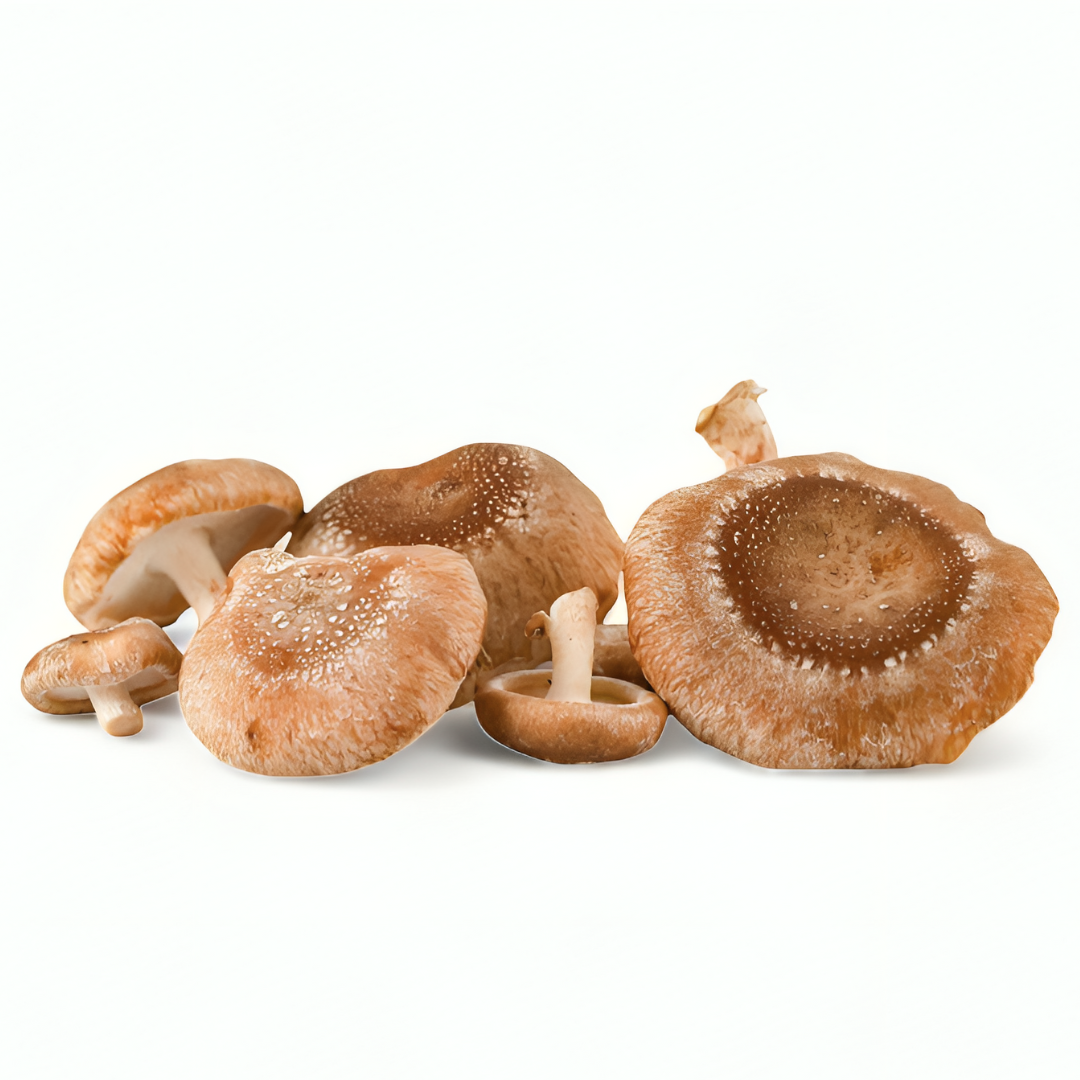 HG Shiitake Capsules Bio (90 Capsules) – Hempire Gardens